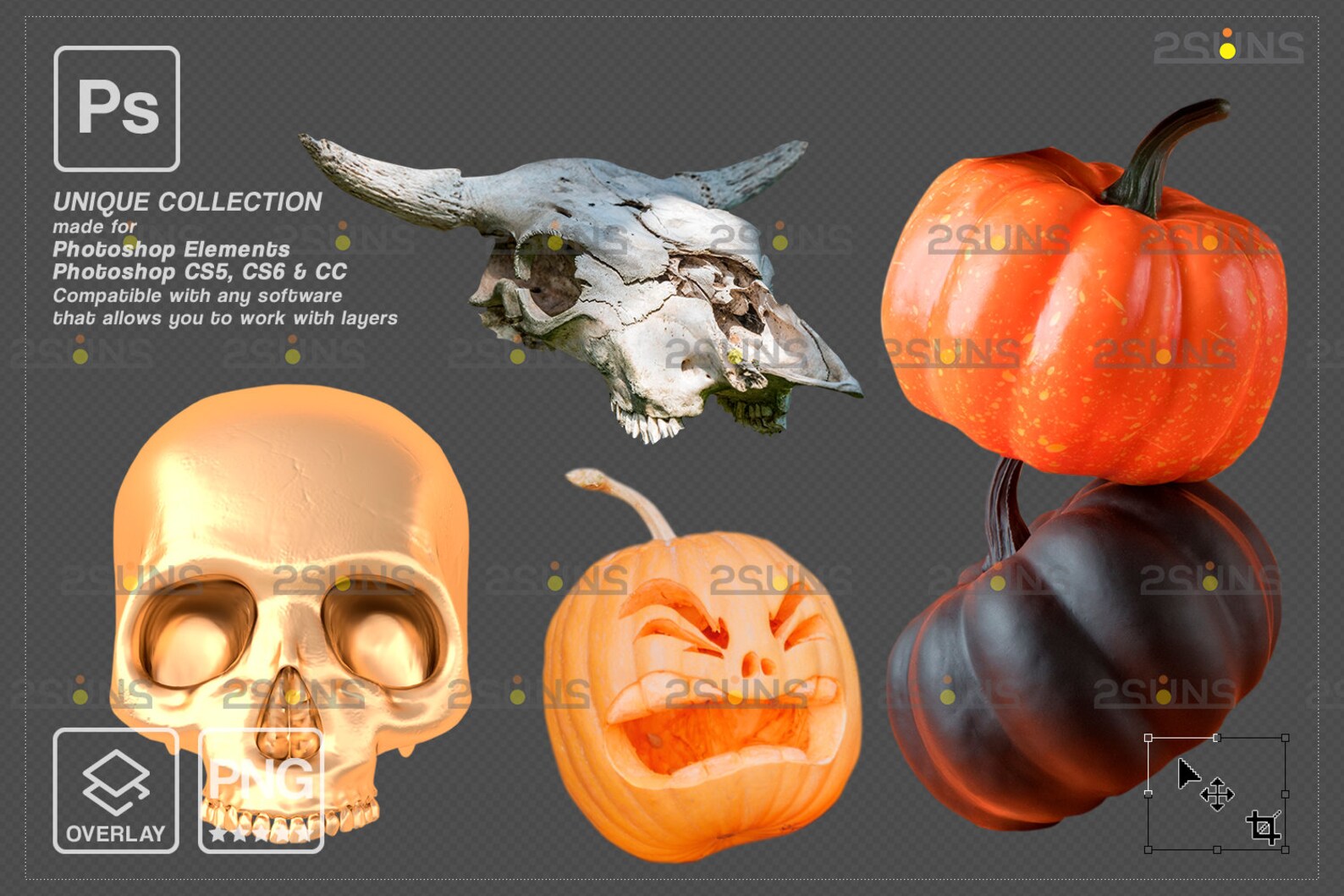 Halloween Overlay Halloween Pumpkin Overlays Photoshop - Etsy