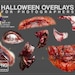 Halloween Overlay, Photoshop Overlays, Blood Splatter Photo Overlays ...