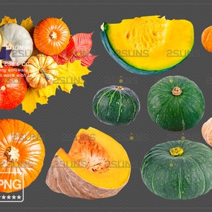 Pumpkins MEGA PACK 159 Halloween Overlay, Halloween Photoshop Overlays ...
