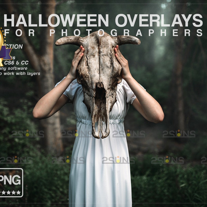 Photoshop Overlays - Etsy