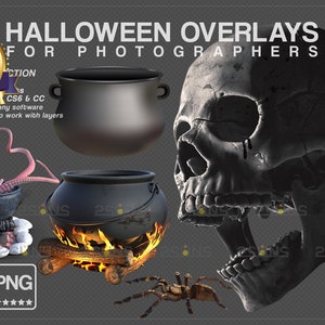 Halloween Overlay, Photoshop Overlays, Skull Png, Halloween Pumpkin ...
