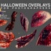 Halloween Overlay, Photoshop Overlays, Blood Splatter Photo Overlays ...