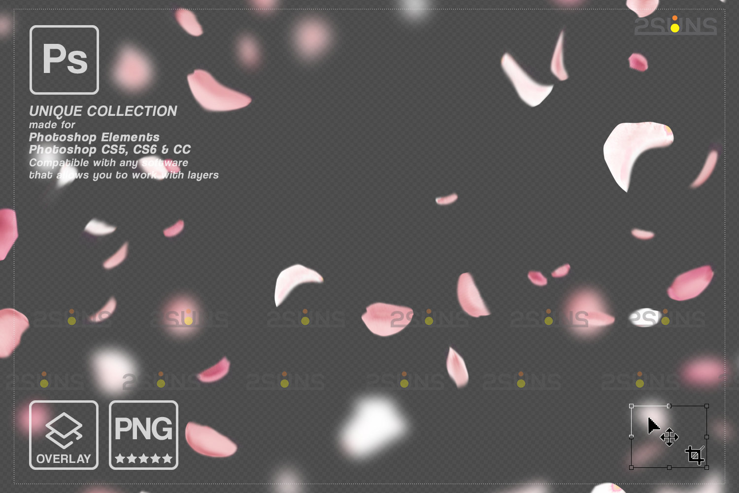 Flower Overlays Photoshop Overlay Petals Flower Overlay | Etsy Australia