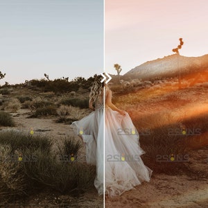 Sunlight Photoshop Overlays, Lens Flare Digital Textures for Photo ...