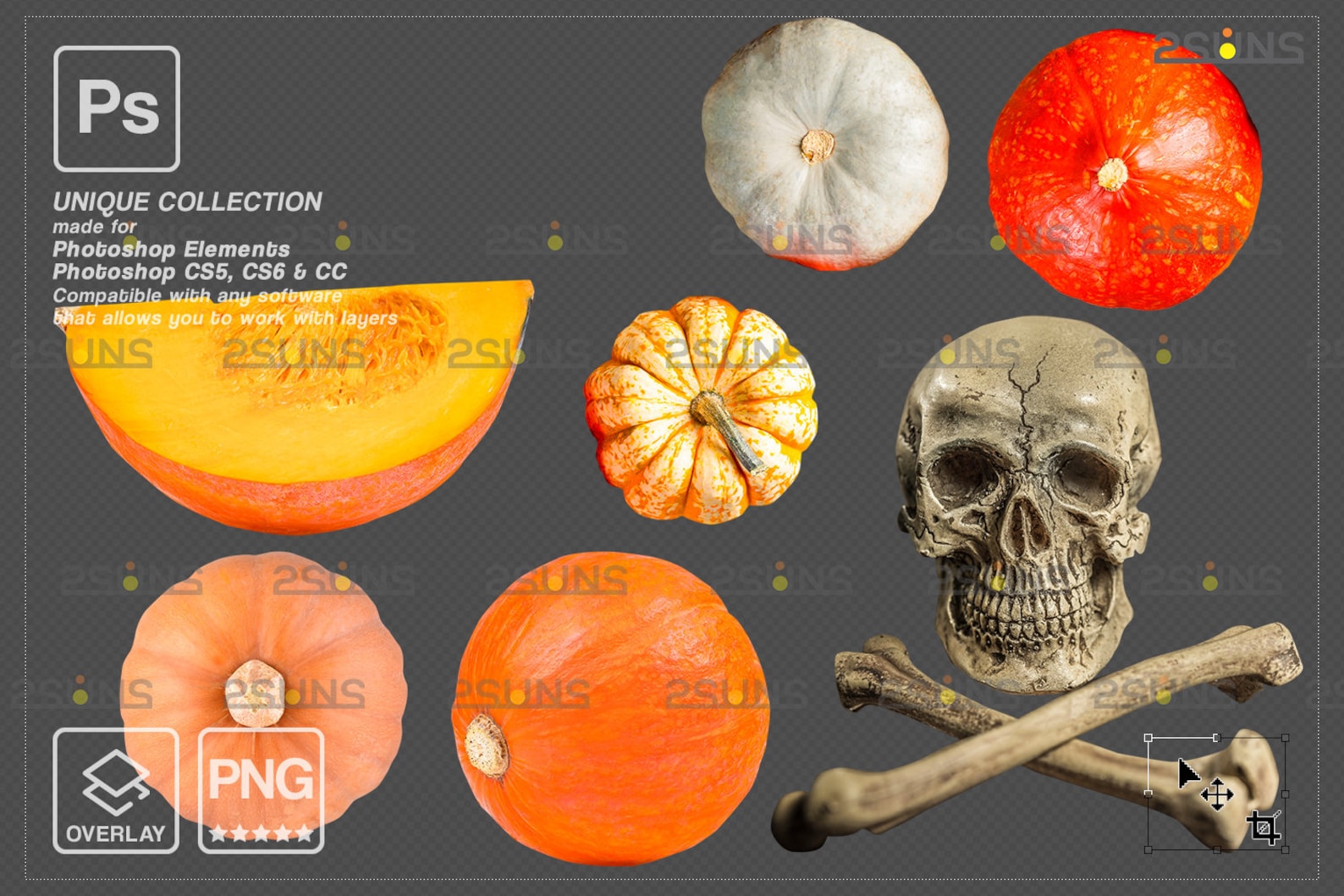 Halloween Overlay Halloween Pumpkin Overlays Photoshop - Etsy
