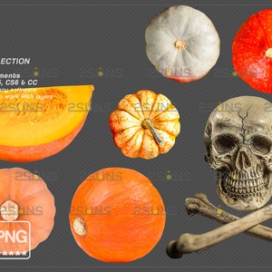 Halloween Overlay Halloween Pumpkin Overlays Photoshop - Etsy