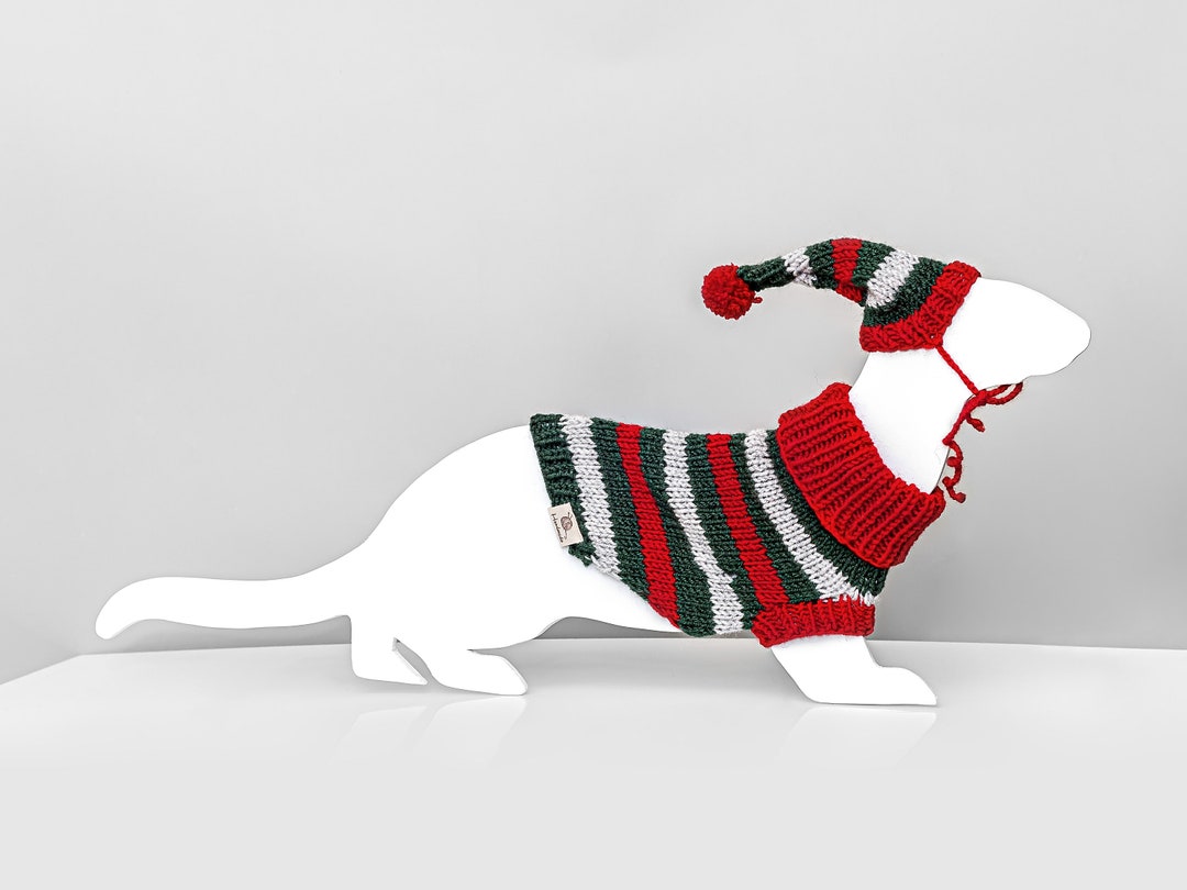 Colored Striped Ferret Sweater With Hat - Etsy