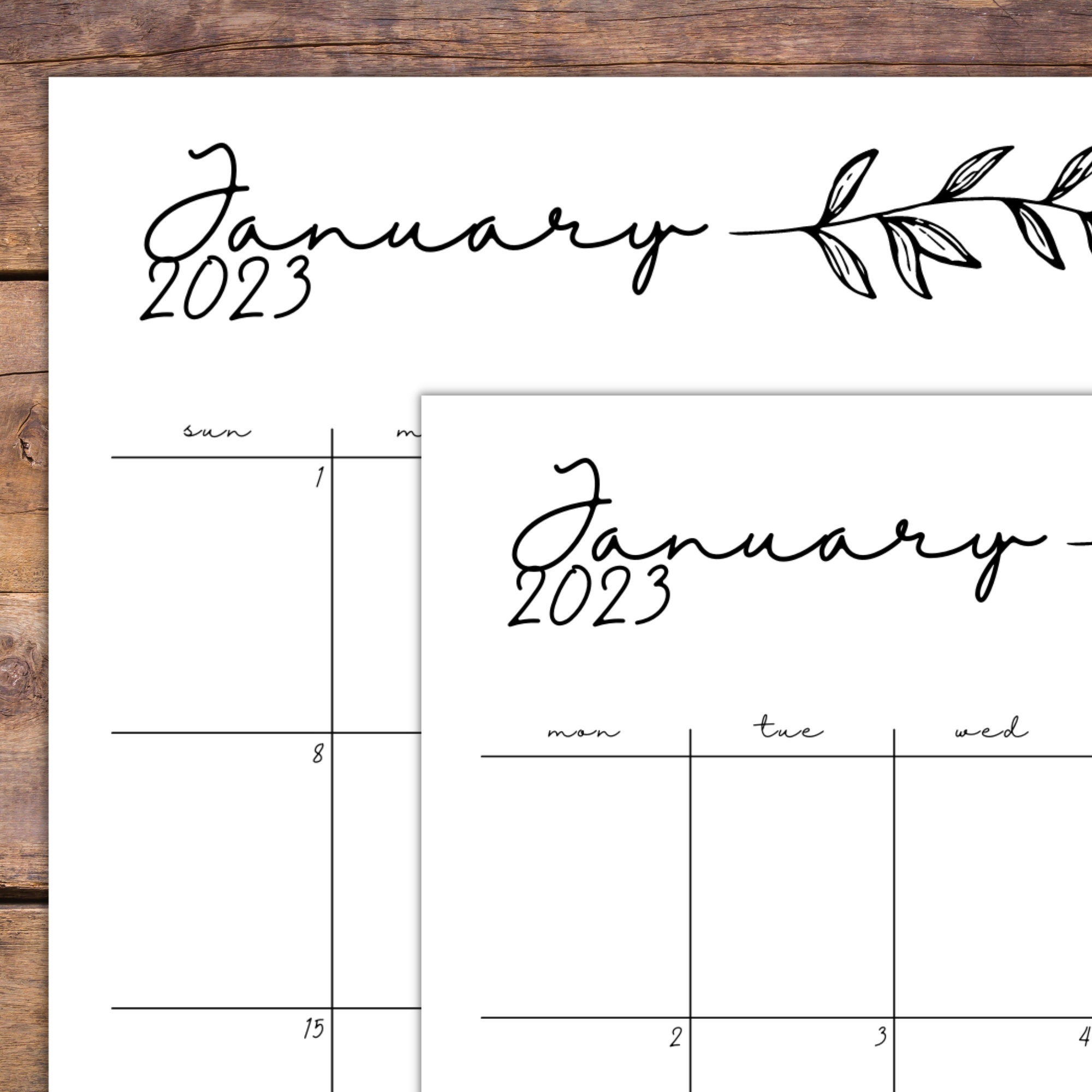 Minimalist Botanical 2023 Printable Wall Calendar, Letter Size, Sunday ...