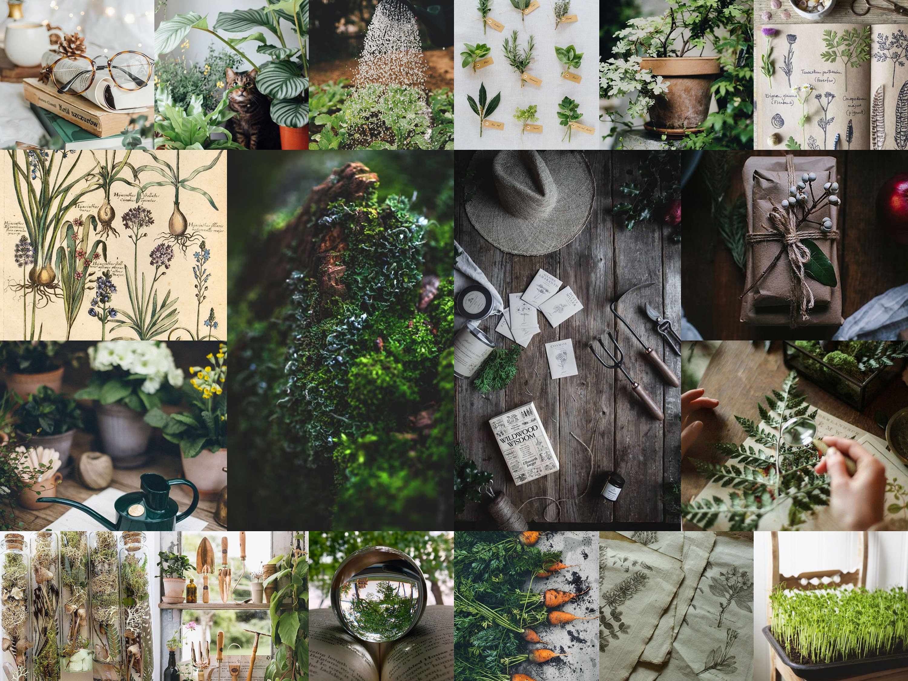 Dark academia room decor. Cottagecore decor collage kit | Etsy