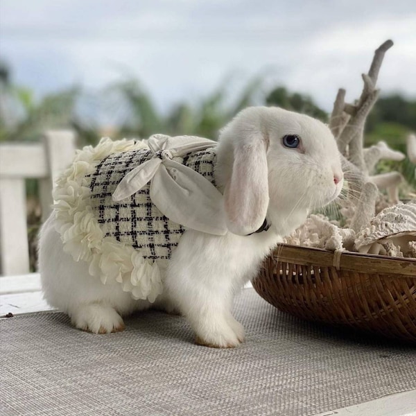 Pet Rabbit Clothes - Etsy