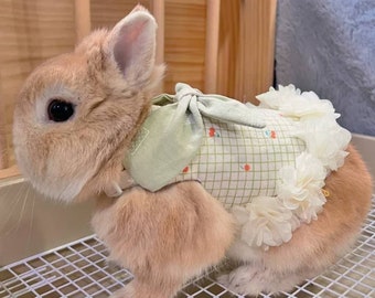 Pet Rabbit Clothing | Etsy