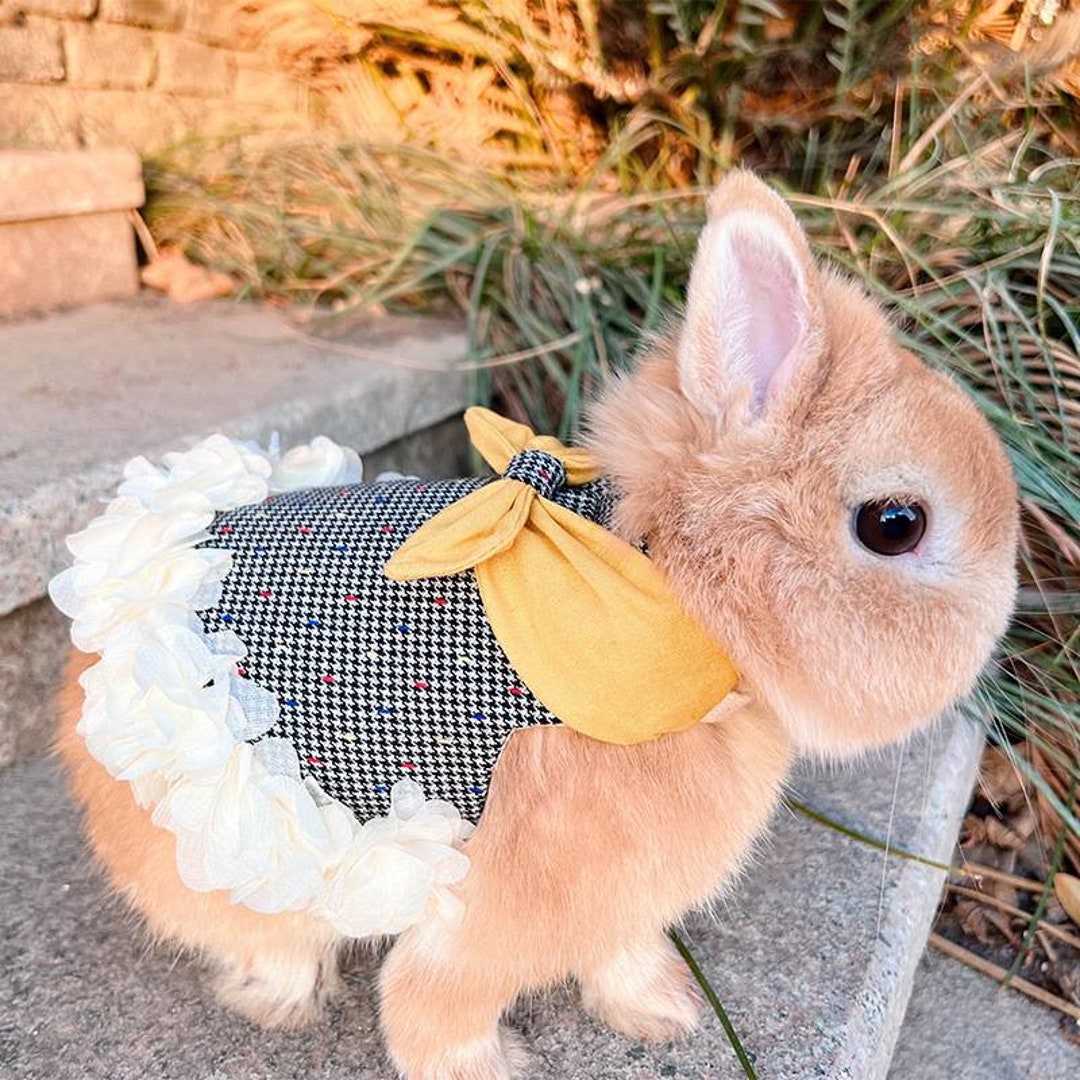 Yellow Ribbon Tweed Pet Bunny Rabbit Dress, Rabbit Clothing, Small ...