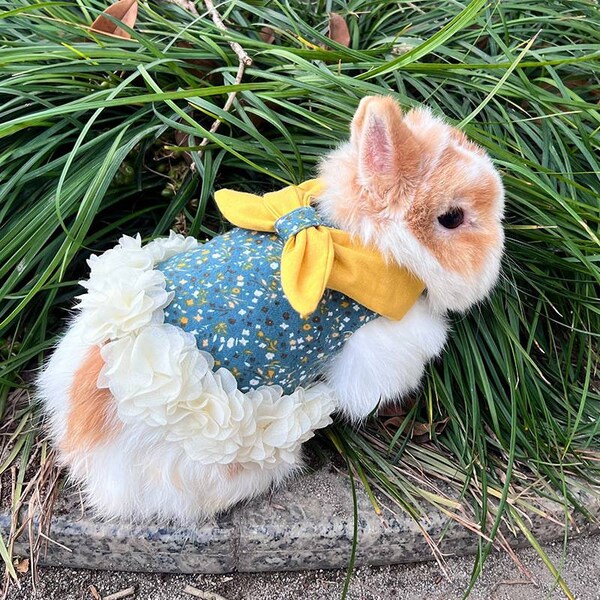 Pet Rabbit Clothing - Etsy
