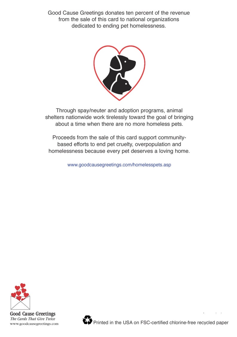 Tubing Cats Charity Card Supporting Homeless Pets (10 Cards per Pack ...