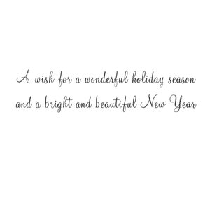 MAIN STREET Charity Holiday Card Supporting the National Alliance to ...