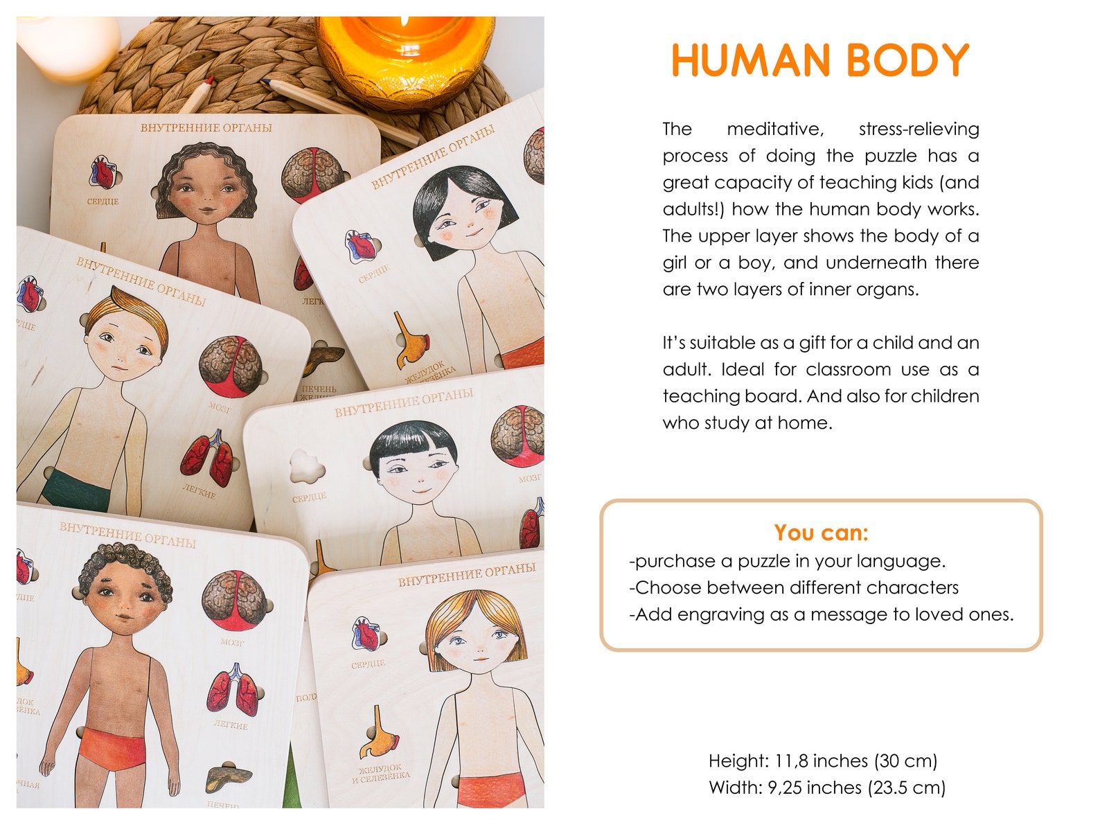Wooden Puzzle Human Body Internal Organs Montessori - Etsy