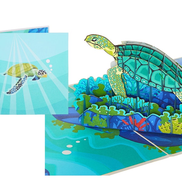Turtle Birthday Card - Etsy
