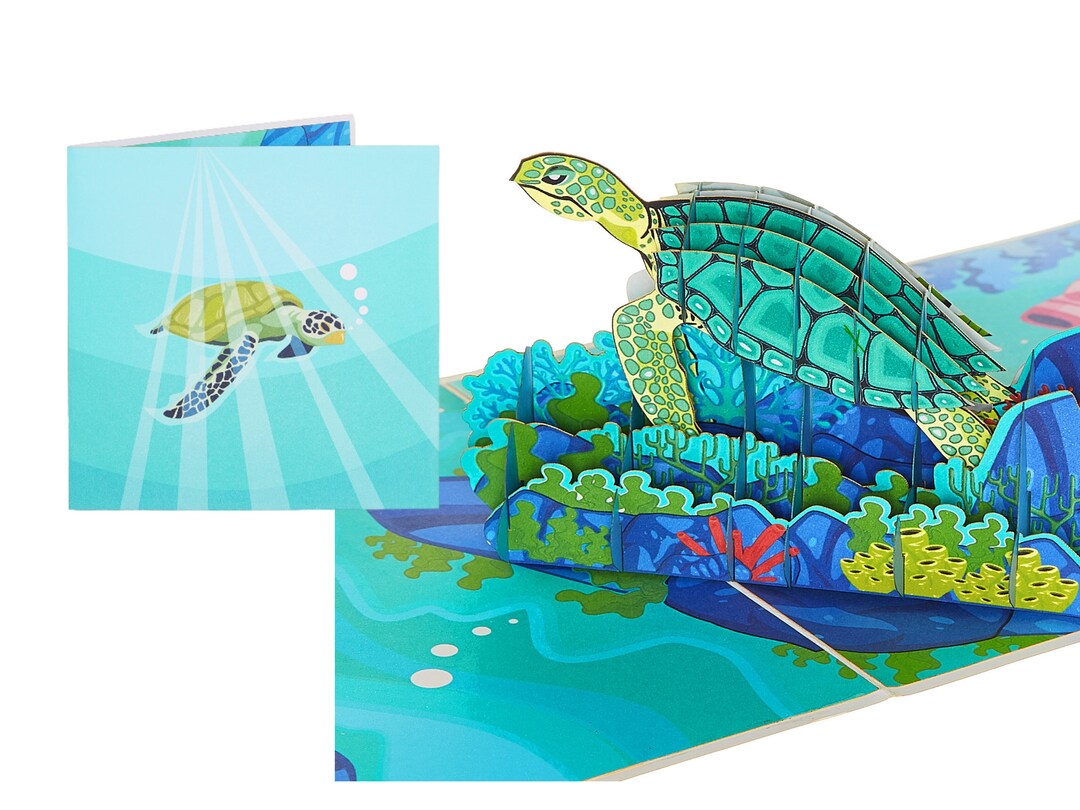 Turtle Pop up Card, Turtle Card, Marine Card, Turtle Thank You, Sea ...