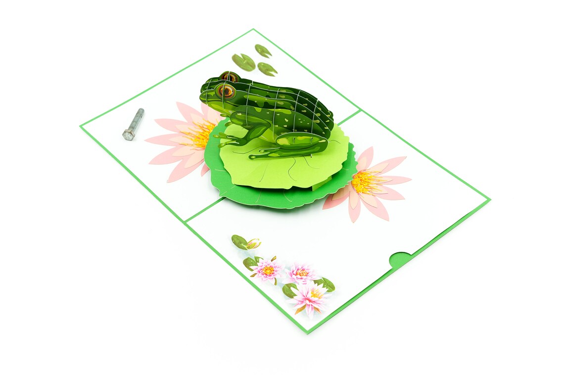 Green Frog Pop up Card Blank Frog Card Frog Easter Card - Etsy