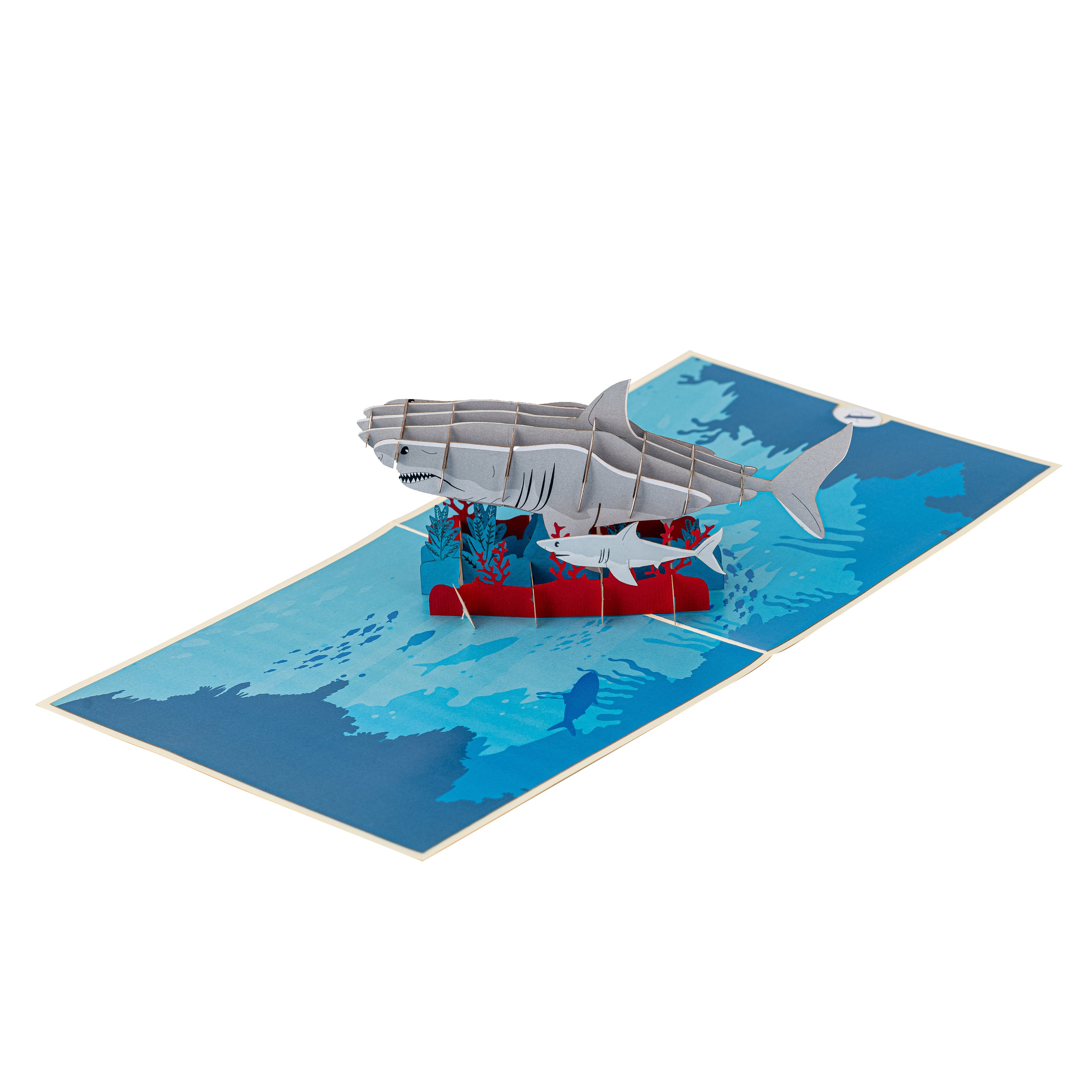 Shark Pop up Card, Blank Shark Card, Shark Birthday Card, Shark Gift ...