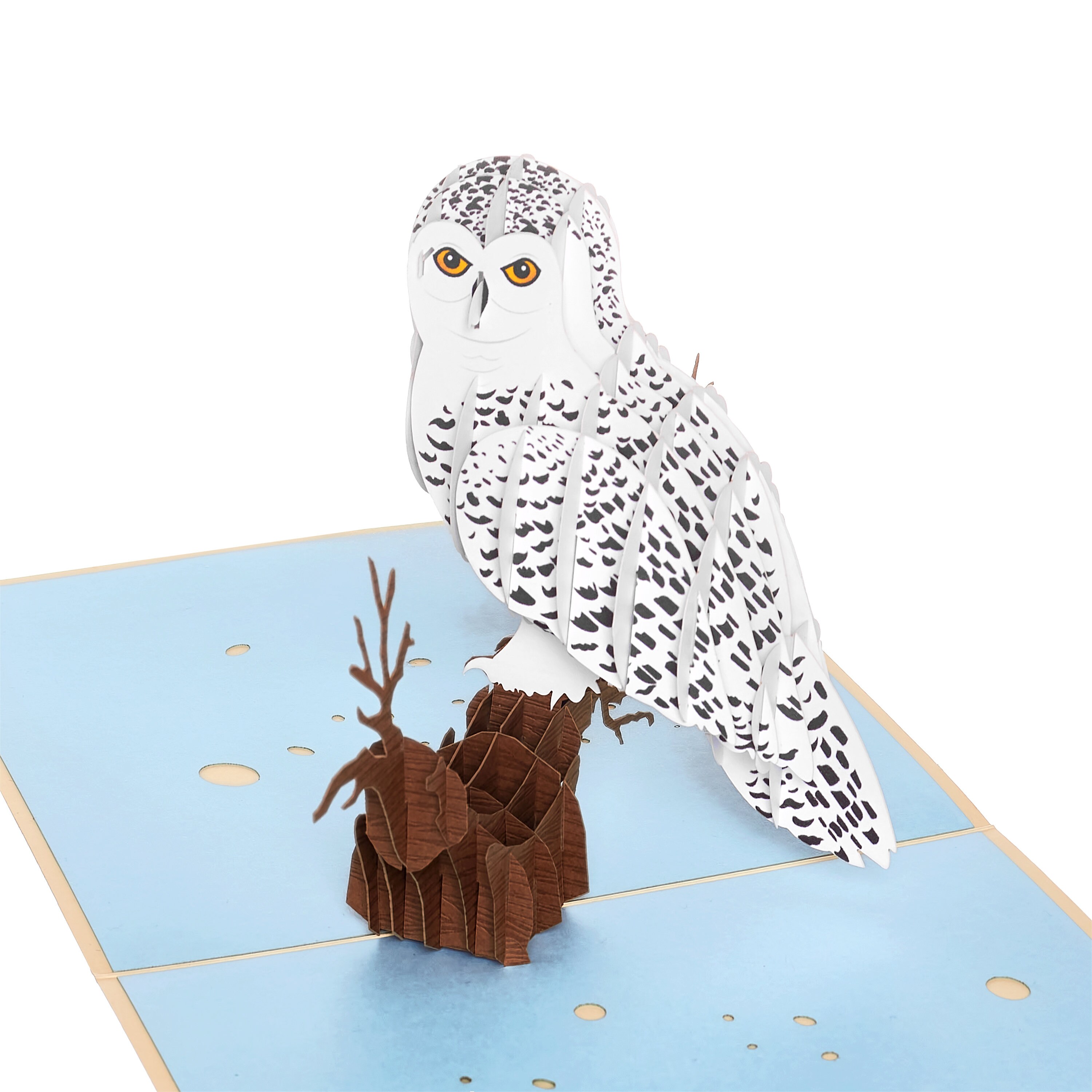 Owl Pop up Card, Snowy Owl Card Handmade, Owl Birthday Card, Nocturnal ...