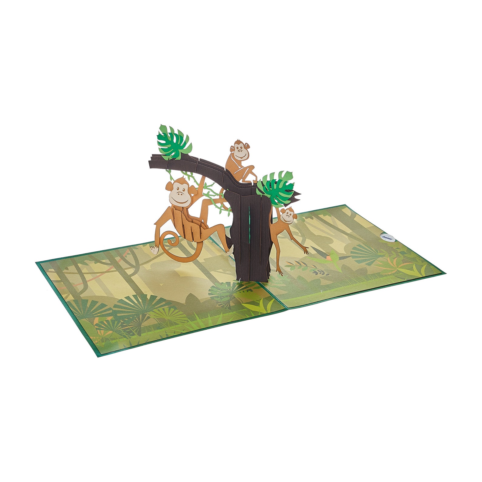 Monkey Pop up Card, Blank Monkey Card, Monkey Easter Card, Monkey Gift ...
