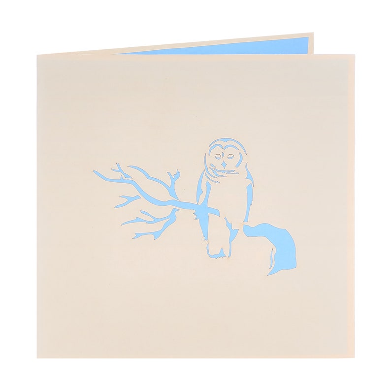 Owl Pop up Card, Snowy Owl Card Handmade, Owl Birthday Card, Nocturnal ...
