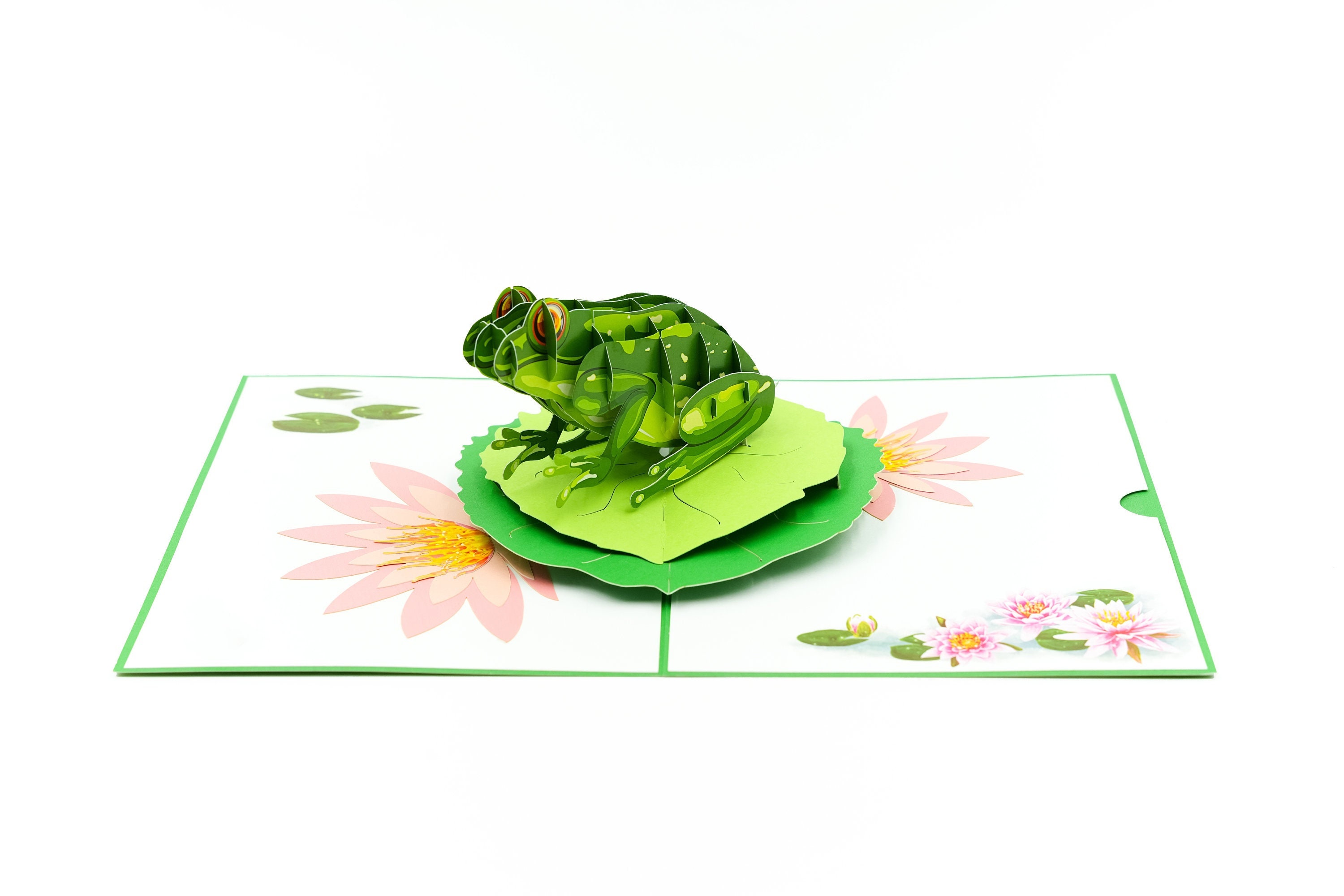 Green Frog Pop up Card Blank Frog Card Frog Easter Card - Etsy