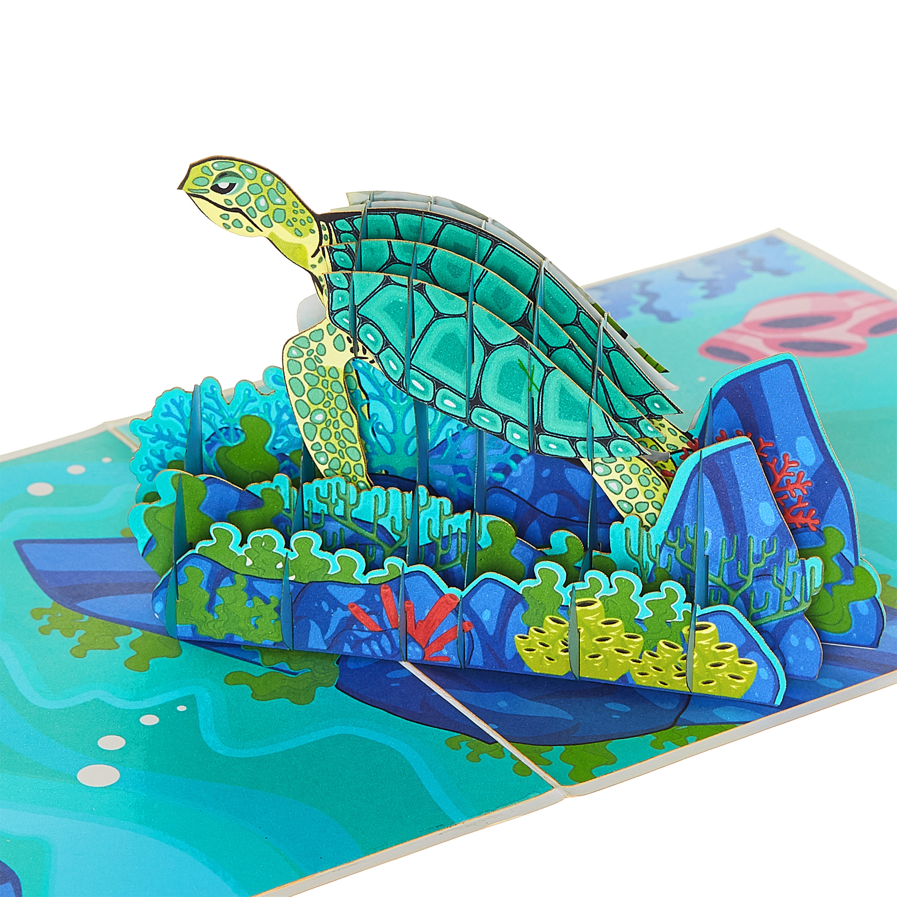 Turtle Pop up Card Turtle Card Marine Card Turtle Thank - Etsy