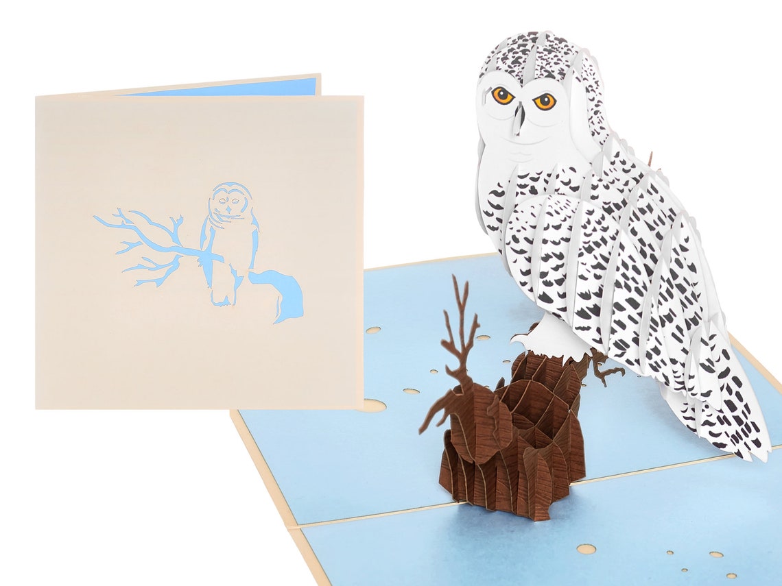 Owl Pop up Card, Snowy Owl Card Handmade, Owl Birthday Card, Nocturnal ...