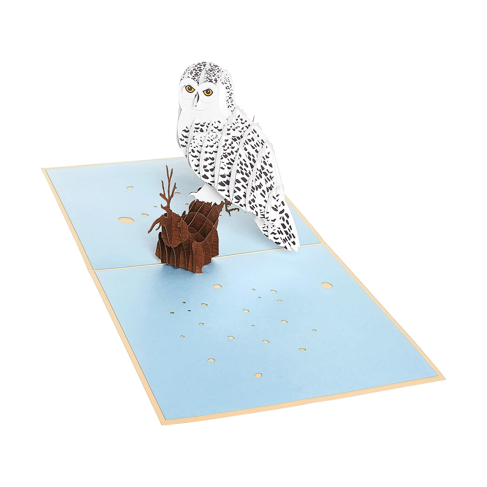 Owl Pop up Card, Snowy Owl Card Handmade, Owl Birthday Card, Nocturnal ...