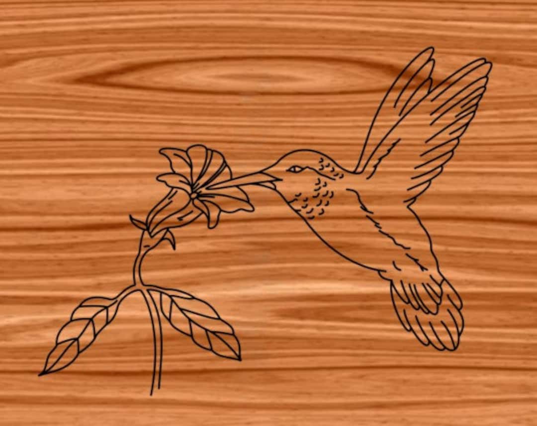 Hummingbird SVG, DXF, PNG, Pdf, and Eps - Etsy