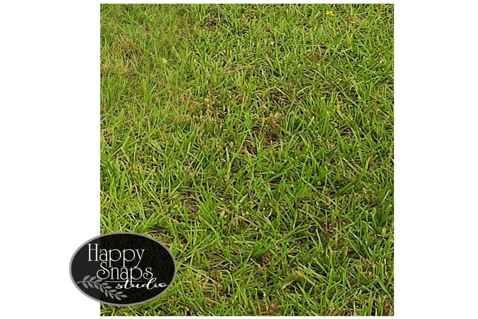 Photoshop Overlay Grass Texture Instant Download Green - Etsy Australia