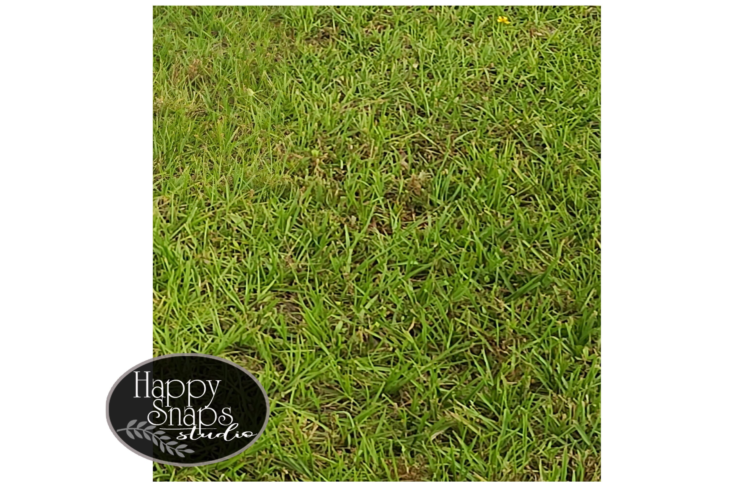 Photoshop Overlay, Grass Texture, Instant Download, Green Grass Clipart ...