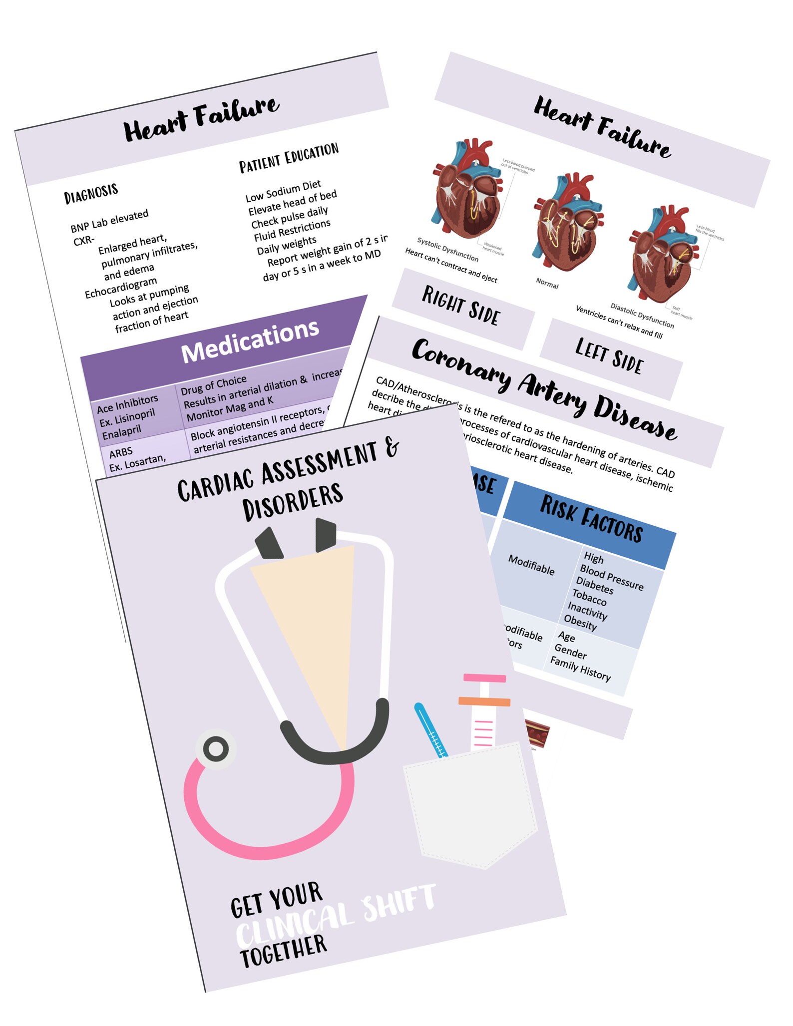 Cardiac Study Guide Bundle | CHF | CAD | Angina | Myocardial Infarction ...