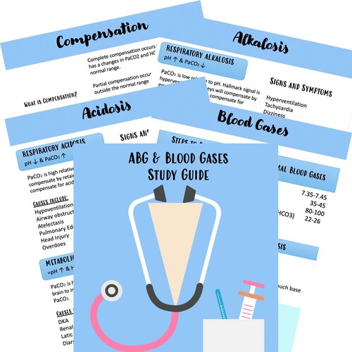 Arterial Blood Gas ABG Study Guide Version 2 DIGITAL - Etsy