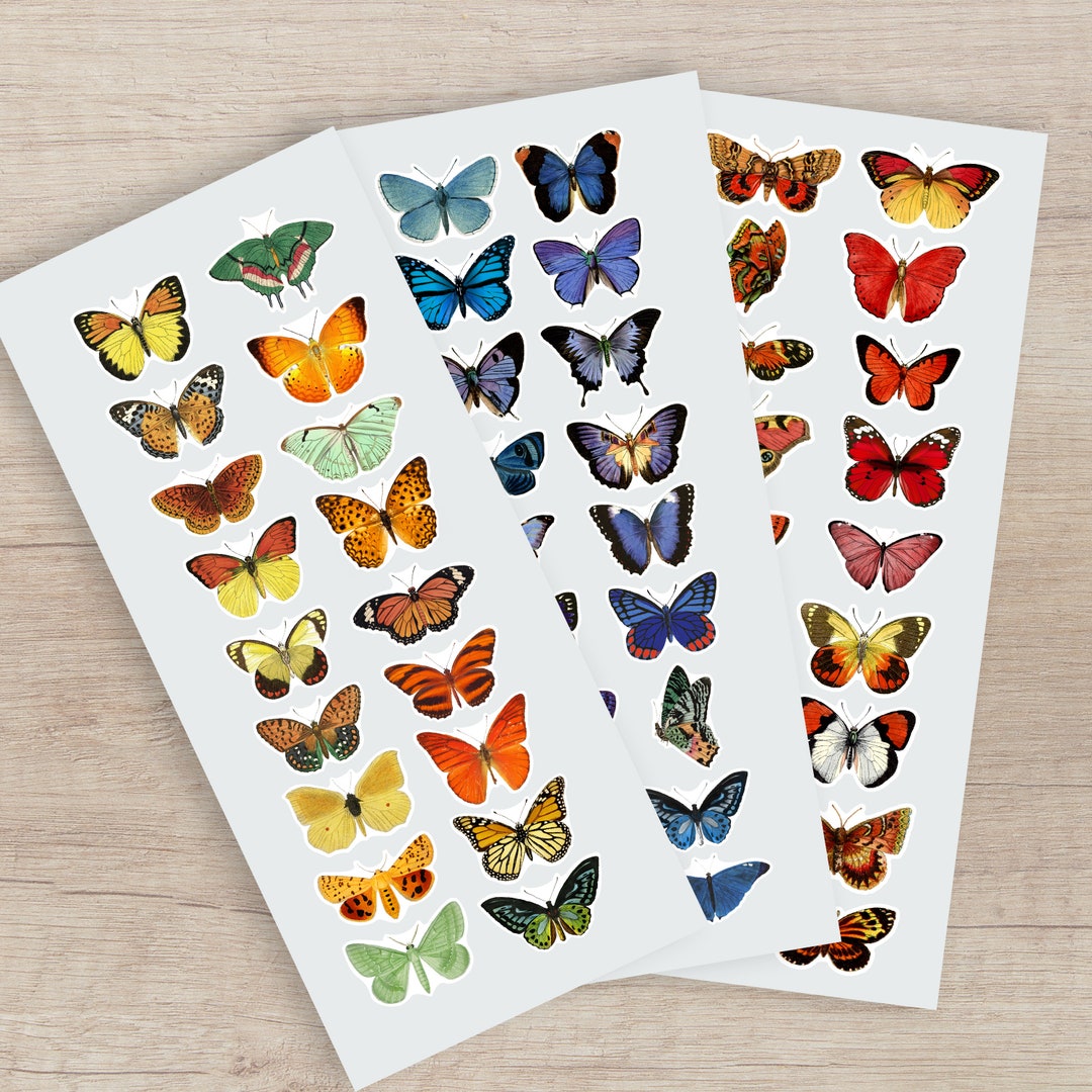 Vinyl Butterfly Stickers | Waterproof Butterfly Stickers | Outdoor ...