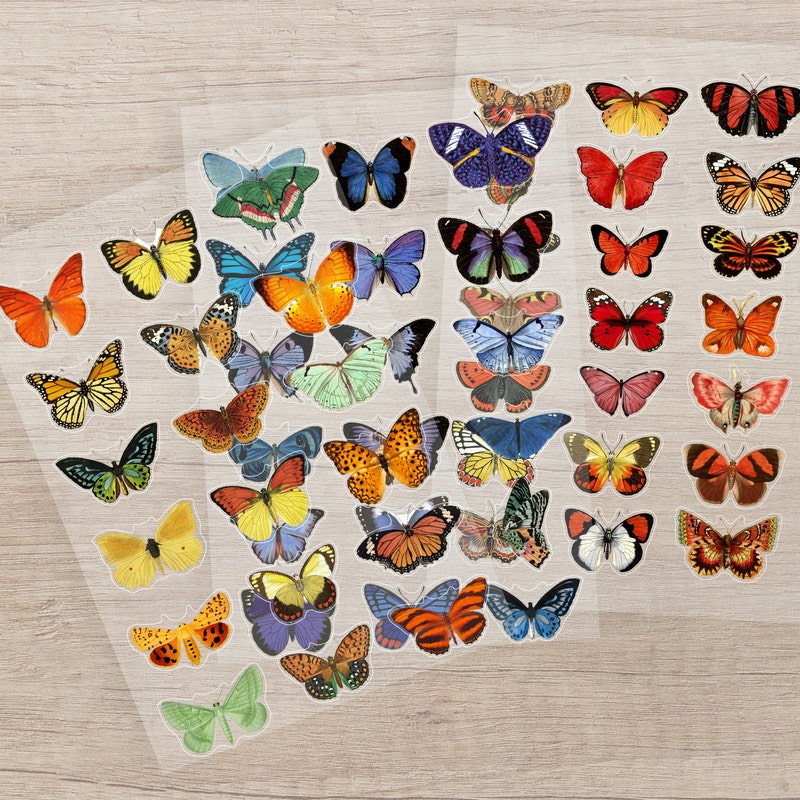 Butterfly Stickers - Etsy
