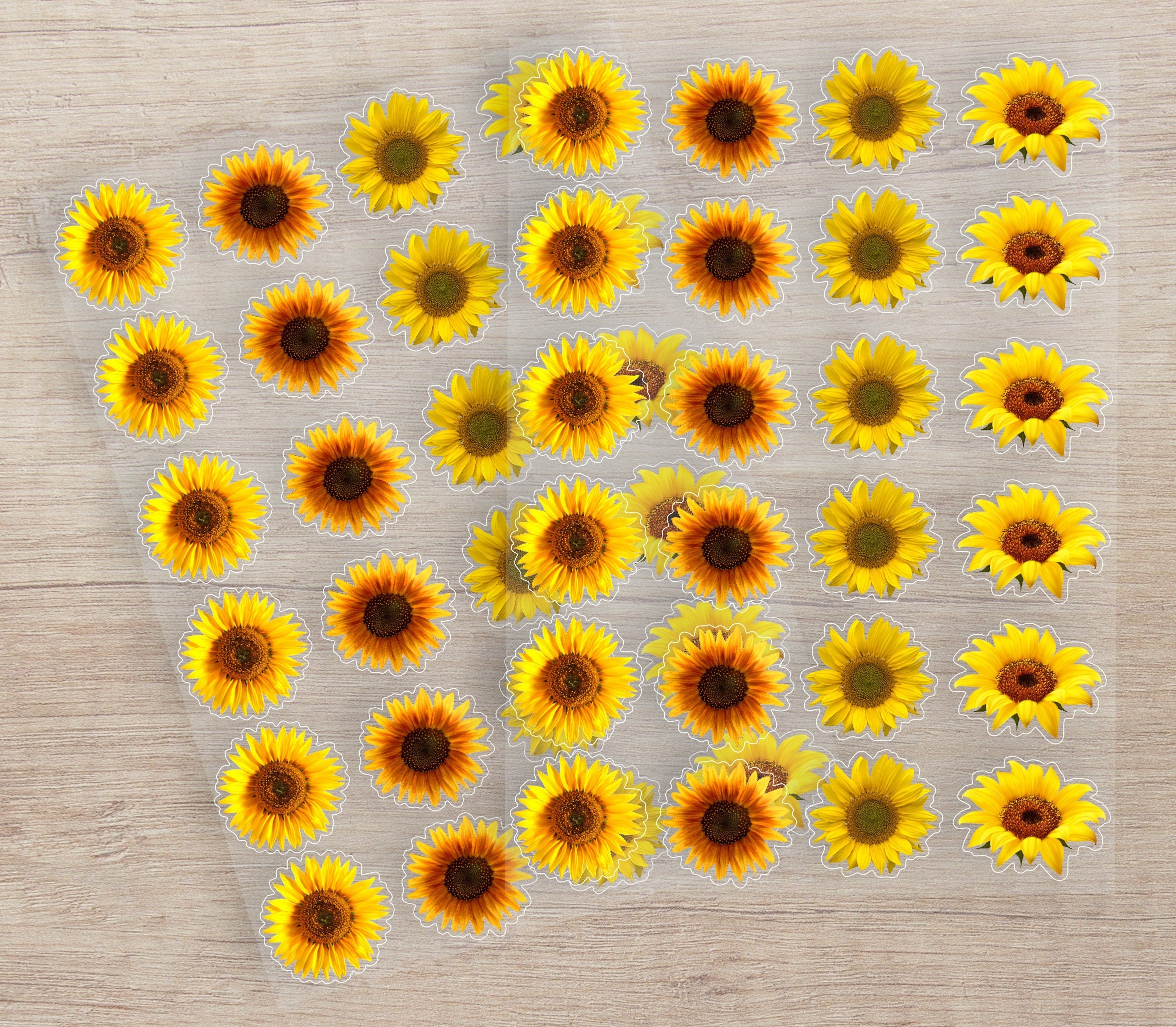 Sunflower Envelope Seal Stickers Sunflower Planner Stickers - Etsy