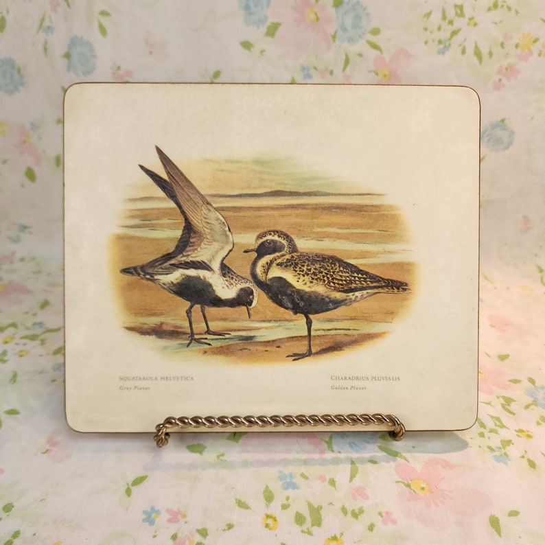 Vintage Lady Clare Birds 9pc Hard Coasters Placemats Set Made in ...