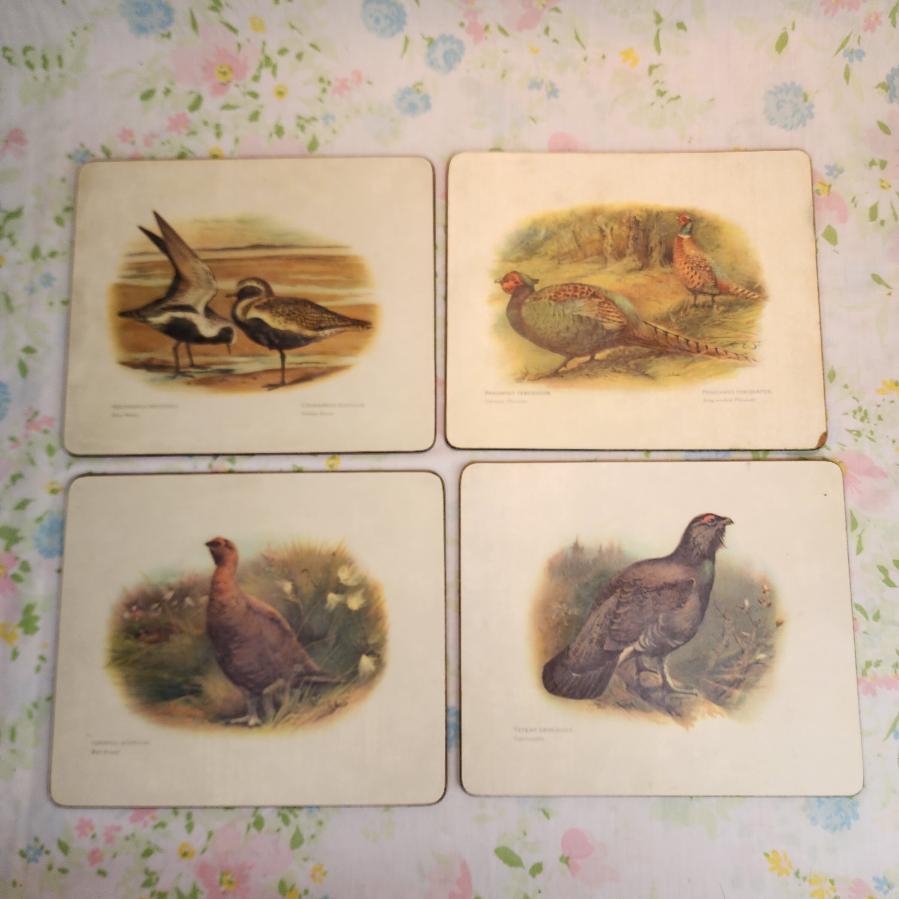 Vintage Lady Clare Birds 9pc Hard Coasters Placemats Set Made in ...