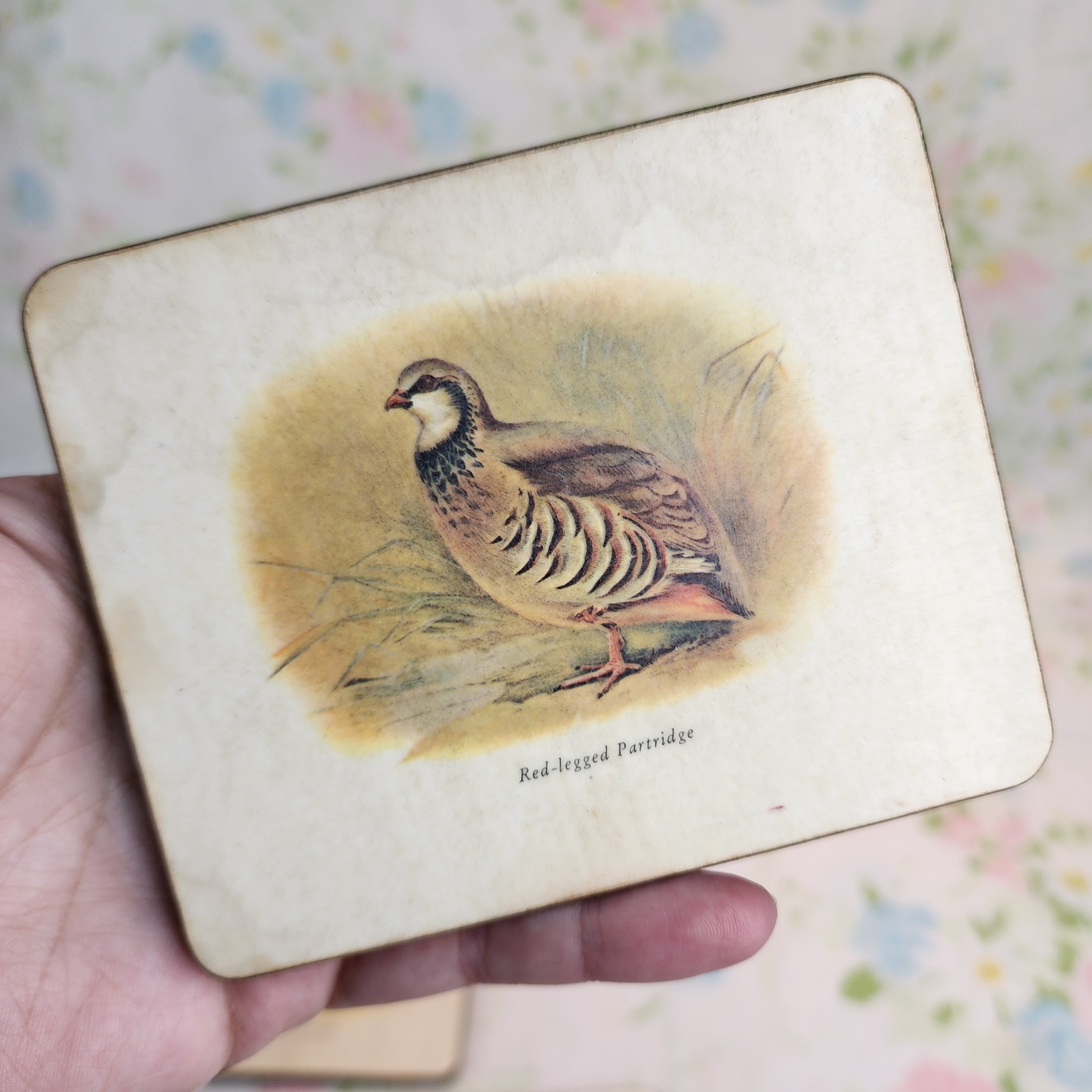 Vintage Lady Clare Birds 9pc Hard Coasters Placemats Set Made in ...