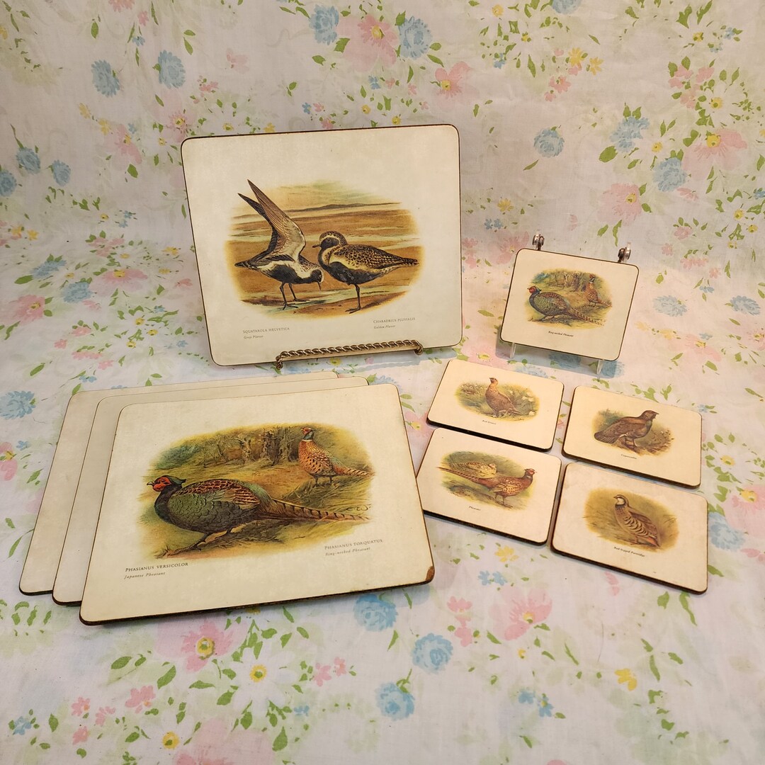 Vintage Lady Clare Birds 9pc Hard Coasters Placemats Set Made in ...