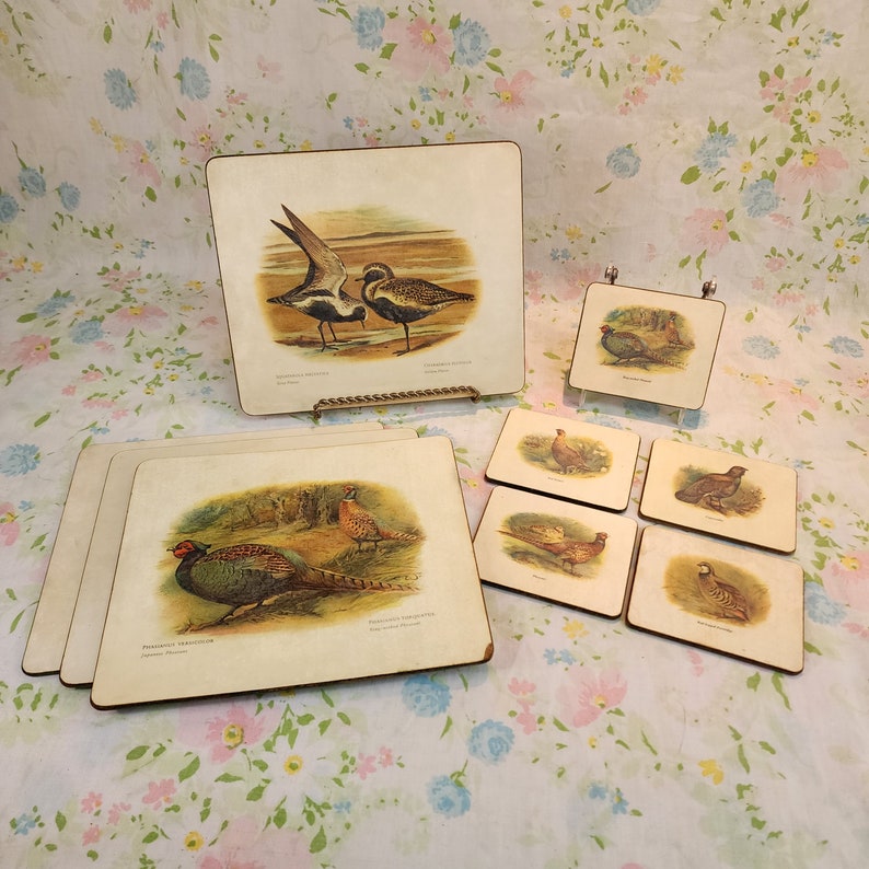 Vintage Lady Clare Birds 9pc Hard Coasters Placemats Set Made in ...