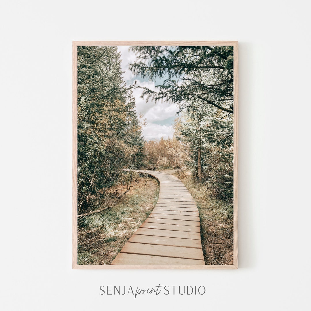 Fall Path Digital Art Print Nature Trail Photo Calming Wall Art Forest ...