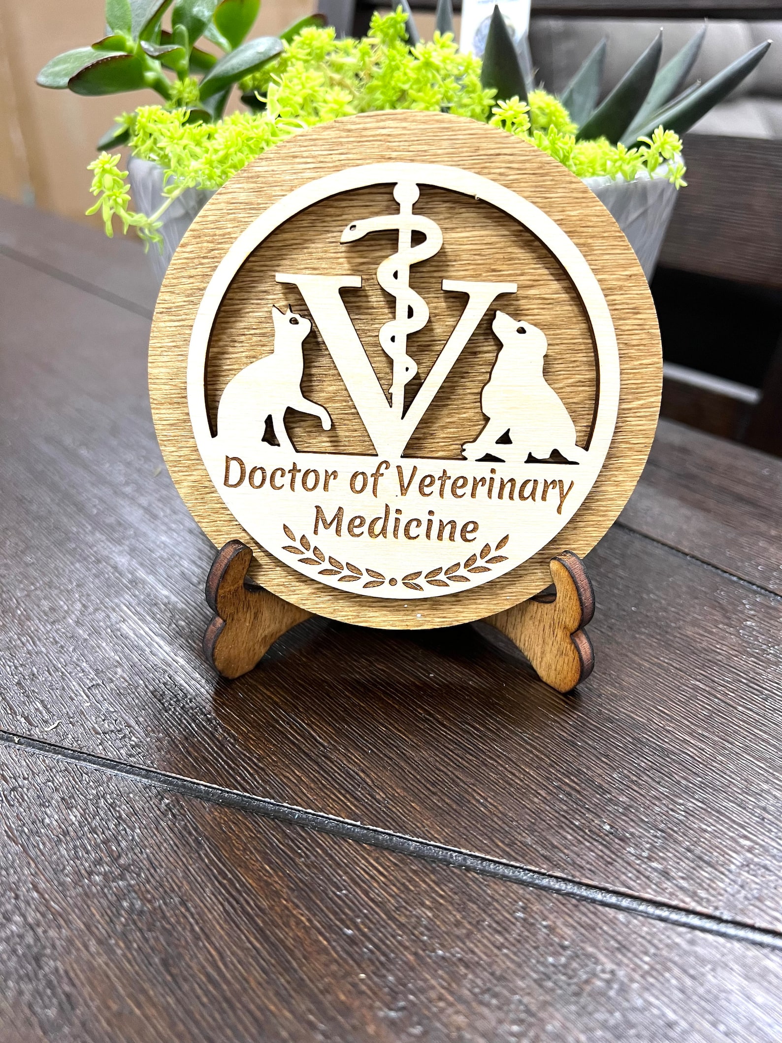 Veterinarian Personalized 3D Name Plaques Pet Vet Doctor - Etsy