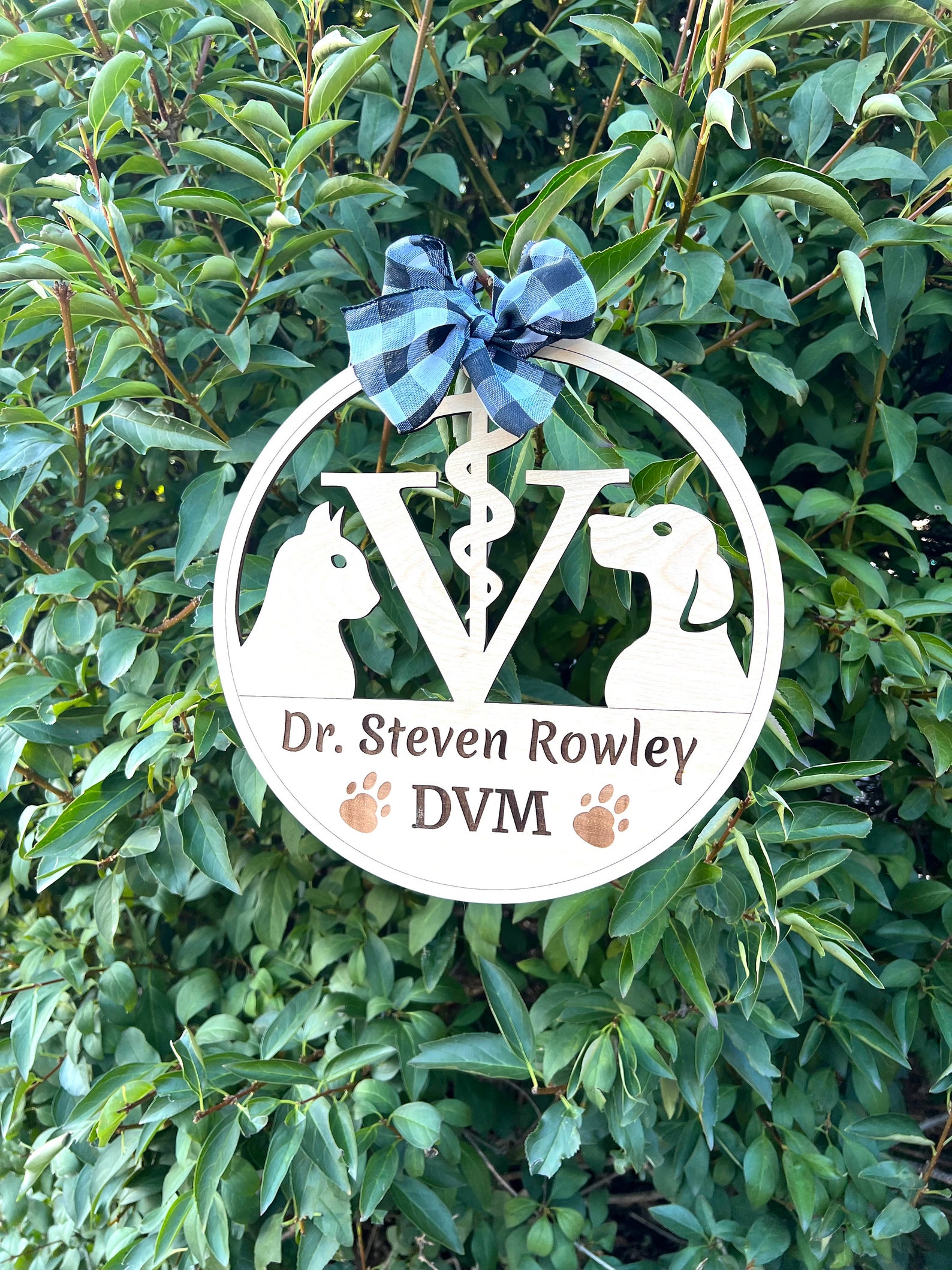 Veterinarian Personalized 3D Name Plaques, Pet Vet Doctor, Animal ...