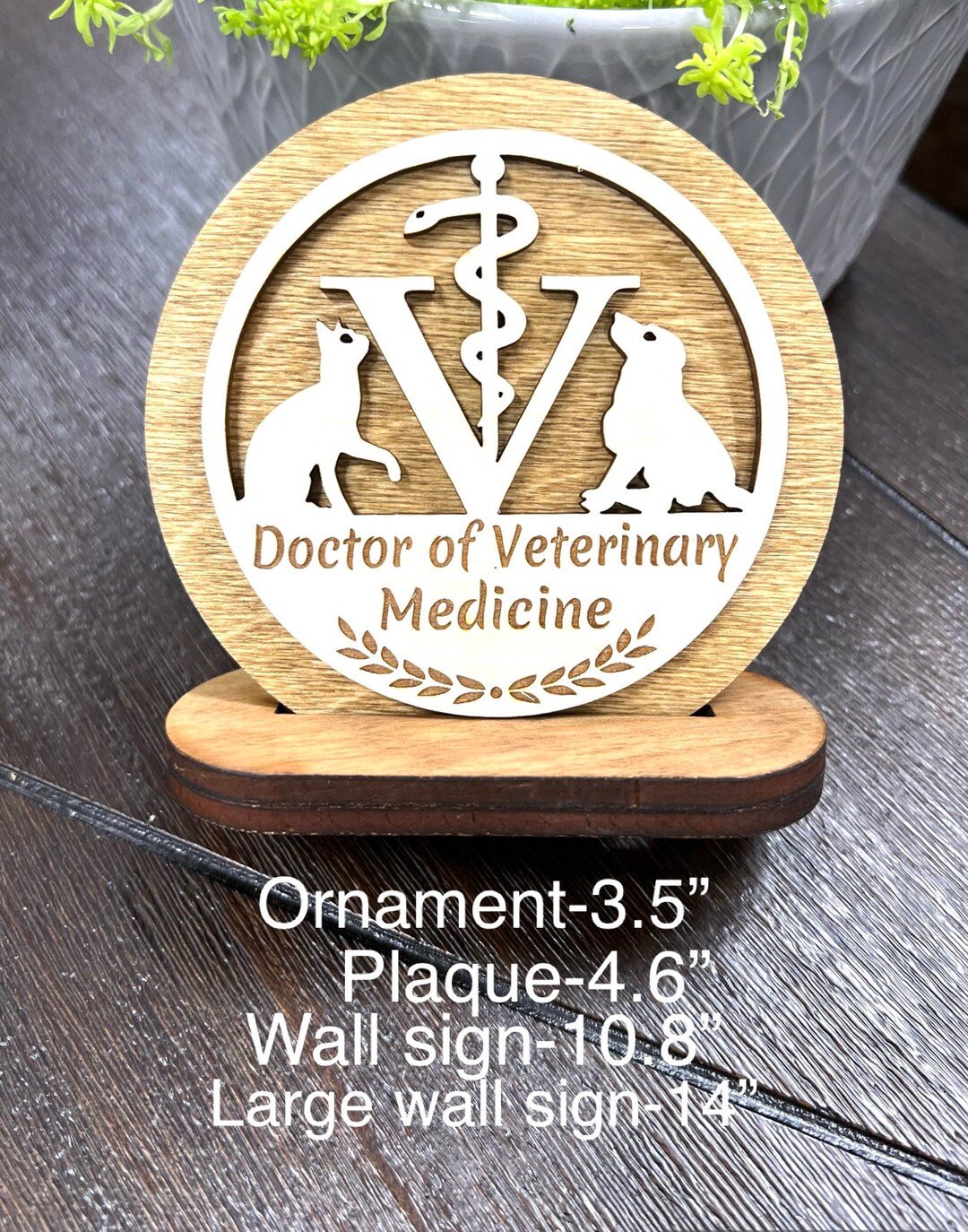 Veterinarian Personalized 3D Name Plaques, Pet Vet Doctor, Animal ...