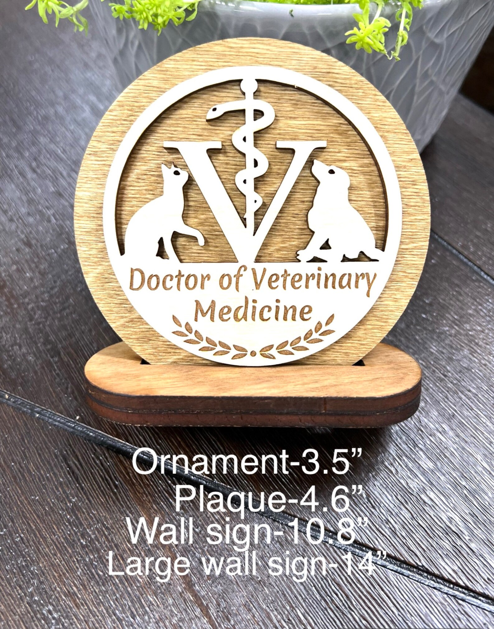 Veterinarian Personalized 3D Name Plaques, Pet Vet Doctor, Animal ...