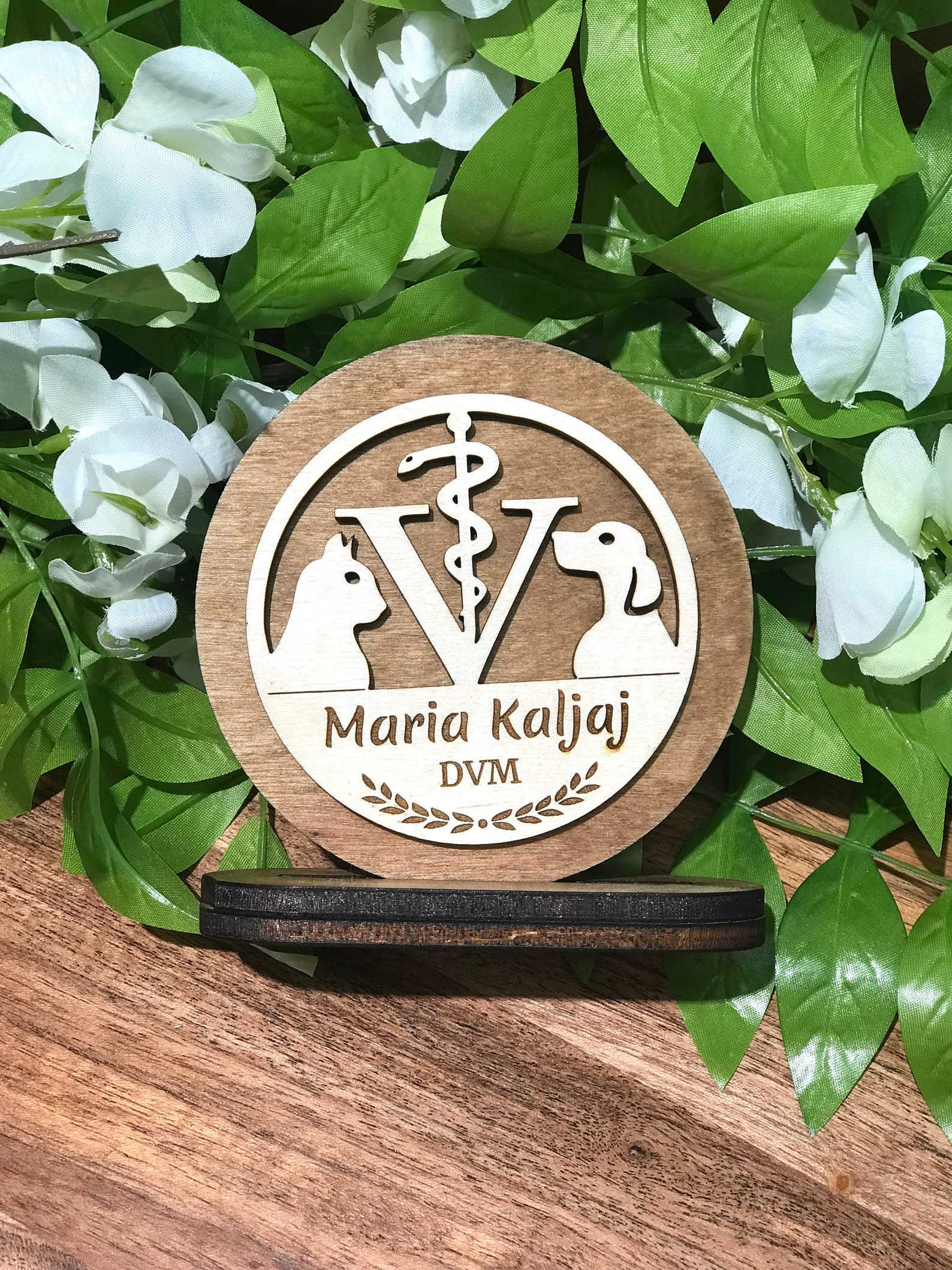 Veterinarian Personalized 3D Name Plaques, Pet Vet Doctor, Animal ...